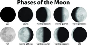 Moon Facts - Education site