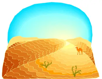Desert Ecosystems Facts for Kids (All You Need to Know!)