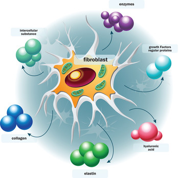 Enzymes - Education site