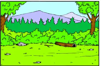 Forest Ecosystems Facts (All You Need to Know!) - Education site