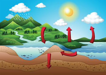 Freshwater Ecosystems - Education site