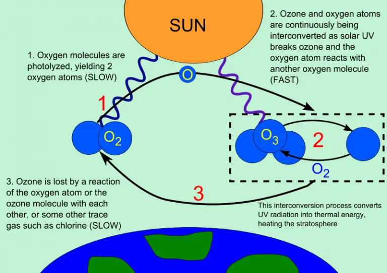 Ozone Layer Facts for Kids (All You Need to Know!)