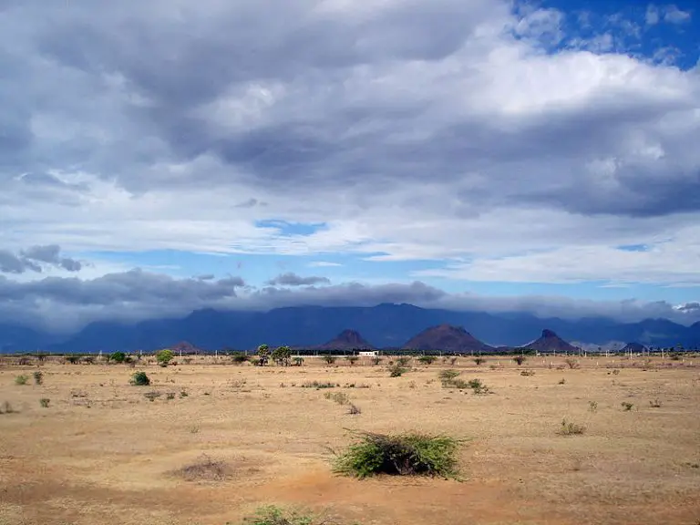 Desert Biome Facts (Explained!) - Education site