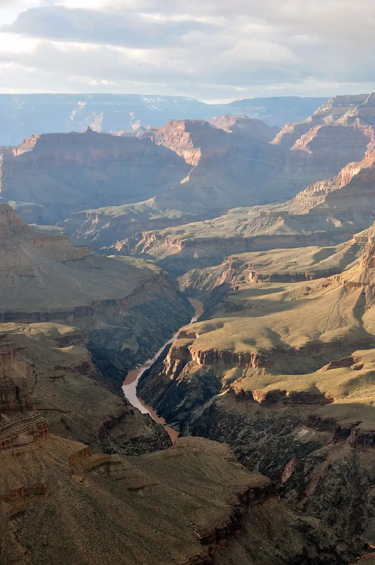 Grand Canyon Facts for Kids (All You Need to Know!)