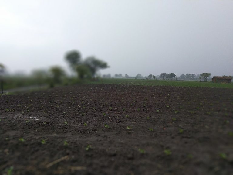 Rain Facts Facts for Kids (Explained!)