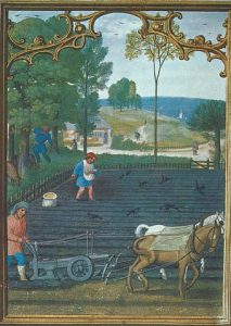 Middle Ages Agriculture Facts for Kids - Education site