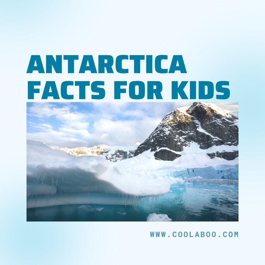 Antarctica Facts for Kids - Education site