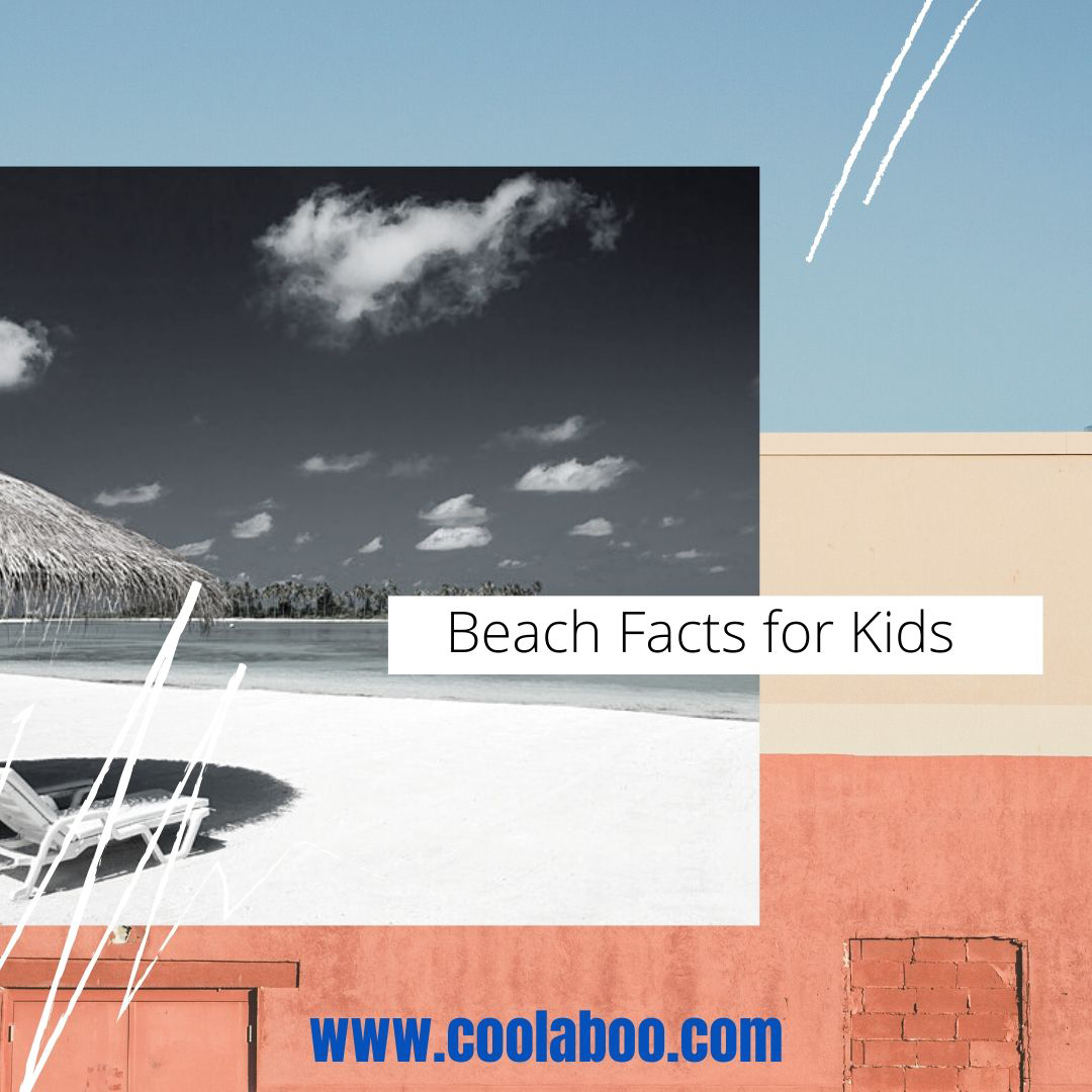 Beach Facts for Kids (All You Need to Know!) - Education site