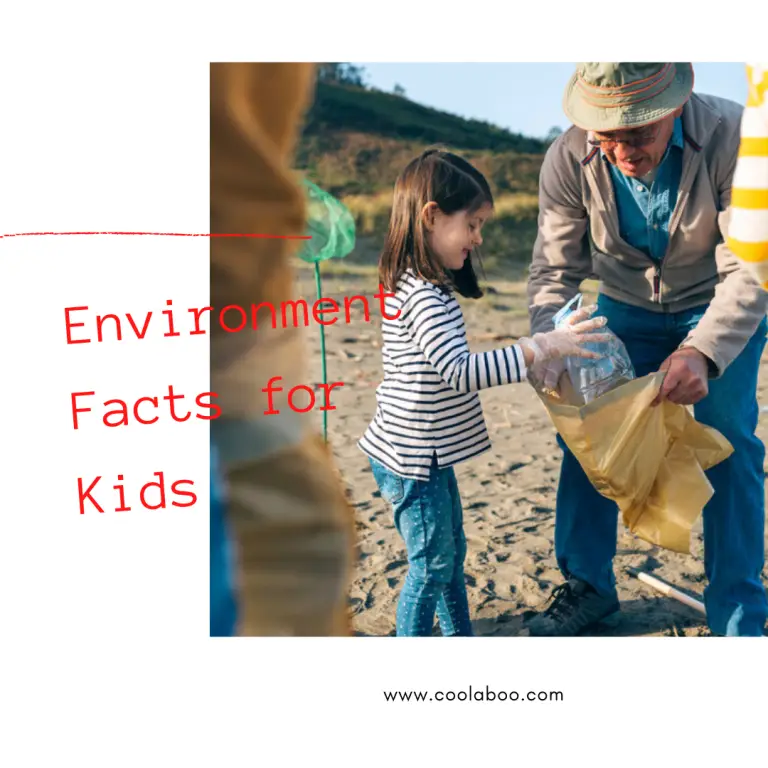Environment Facts - Education site