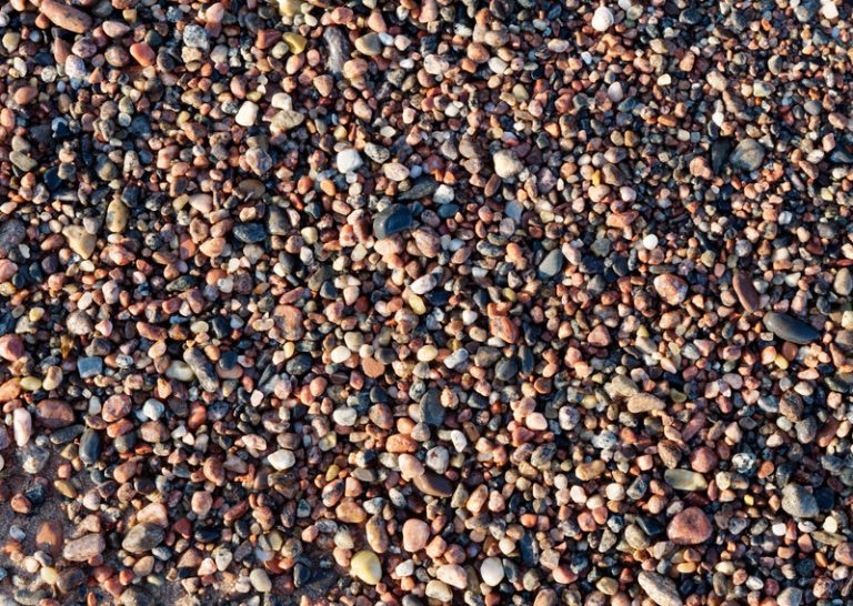 Beach Facts for Kids (All You Need to Know!) - Education site