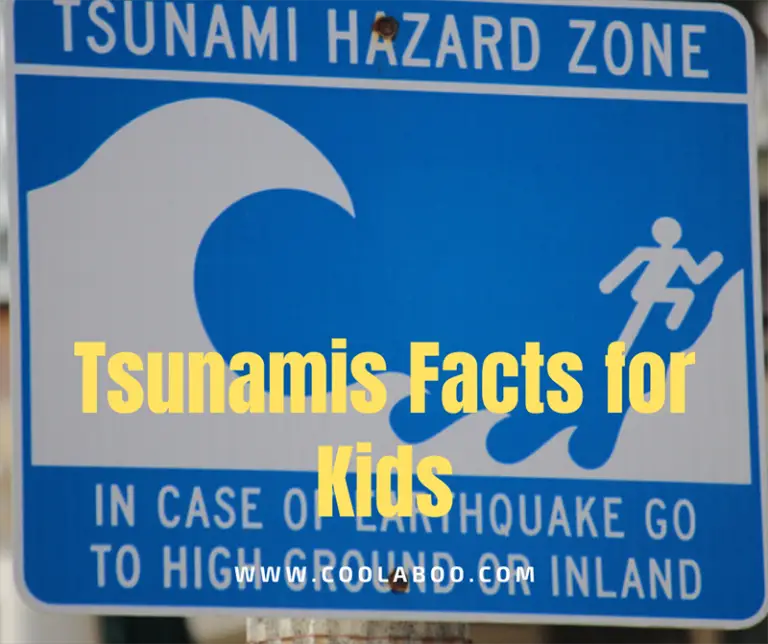 Tsunami Facts for Kids - Education site