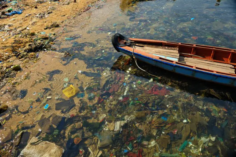 Water Pollution Facts for Kids (Explained!) - Education site