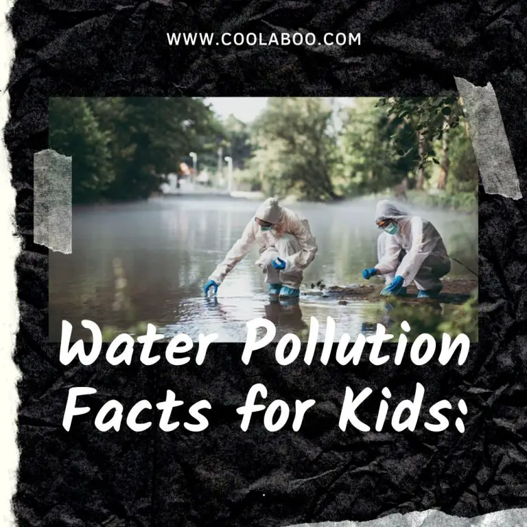 Water Pollution Facts for Kids (Explained!) - Education site