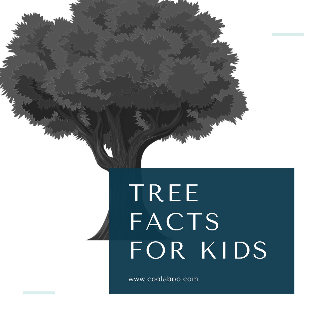 All About Trees - Education site