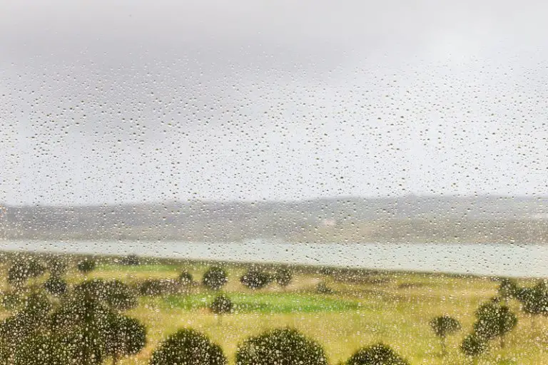 How Does Rain Form - Education site