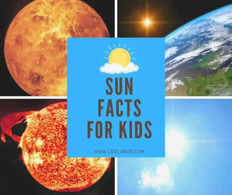 Sun Facts for Kids - Education site
